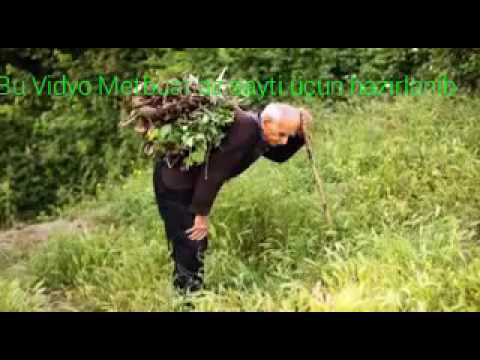 ATA ŞEİRİ - 1 DƏQİQƏ LAYİHƏSİ ÜÇÜN