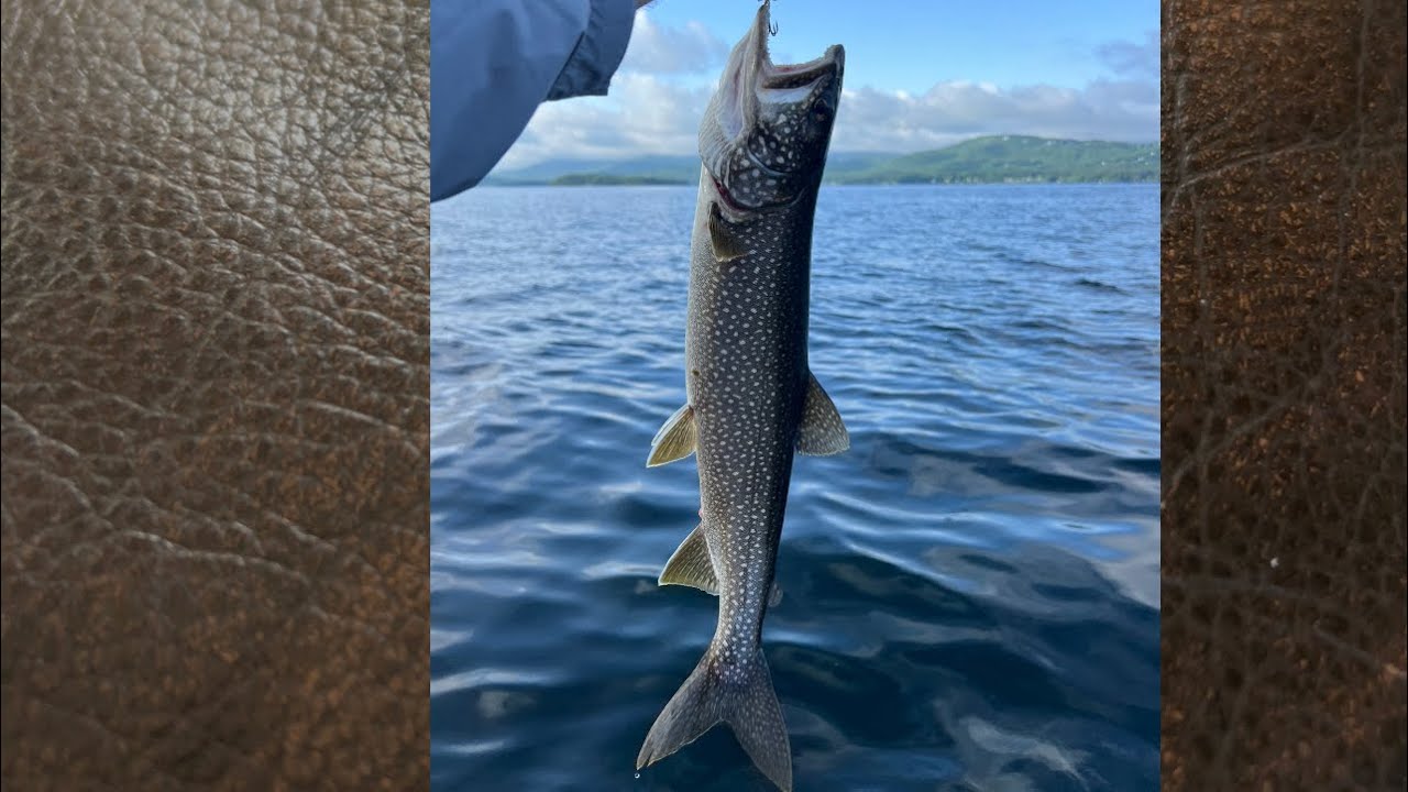 Salmon and Lake Trout on the Sea Doo Fish Pro Trophy…Lake Winnipesaukee ...