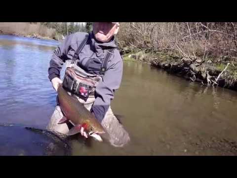Situk Chrome_Steelhead Fishing in Yakutat AK 2019 - YouTube