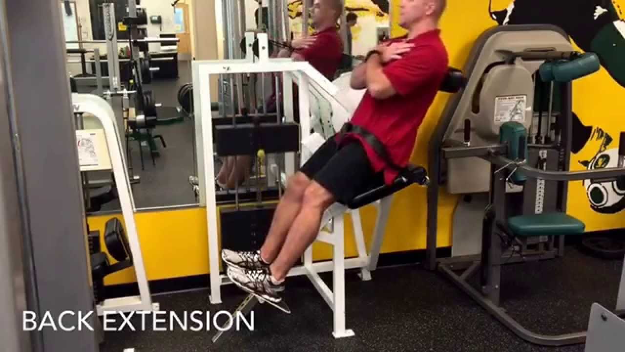 Seated Back Extension - YouTube