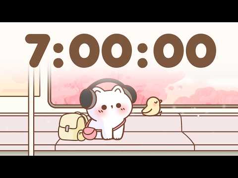 7 Hour Timer 🐱 7 Hr Study Timer for Classroom Focus