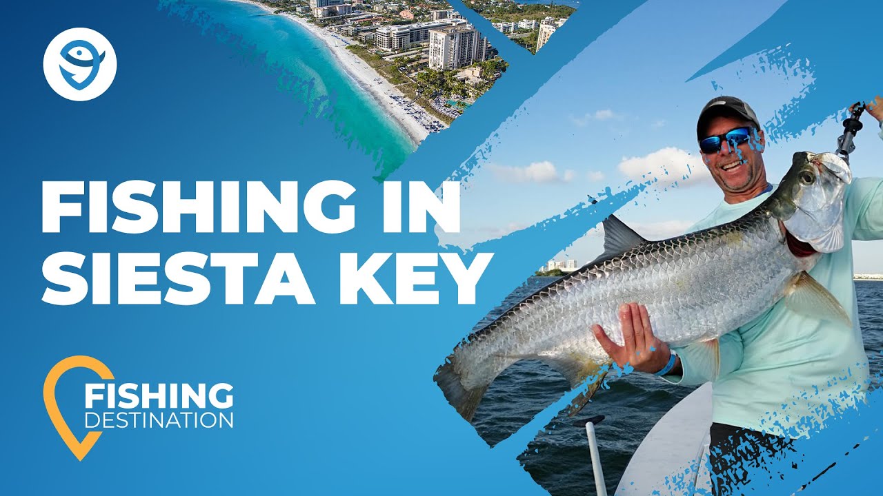 Fishing in Siesta Key: Your Complete Guide - YouTube