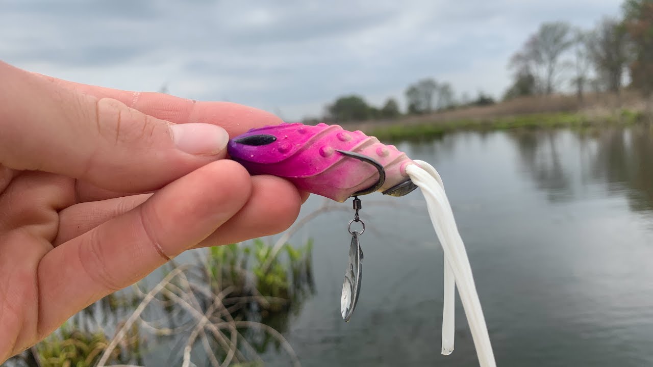 A MONSTER Snakehead Ate This Frog! (Delaware Snakehead Fishing) - YouTube