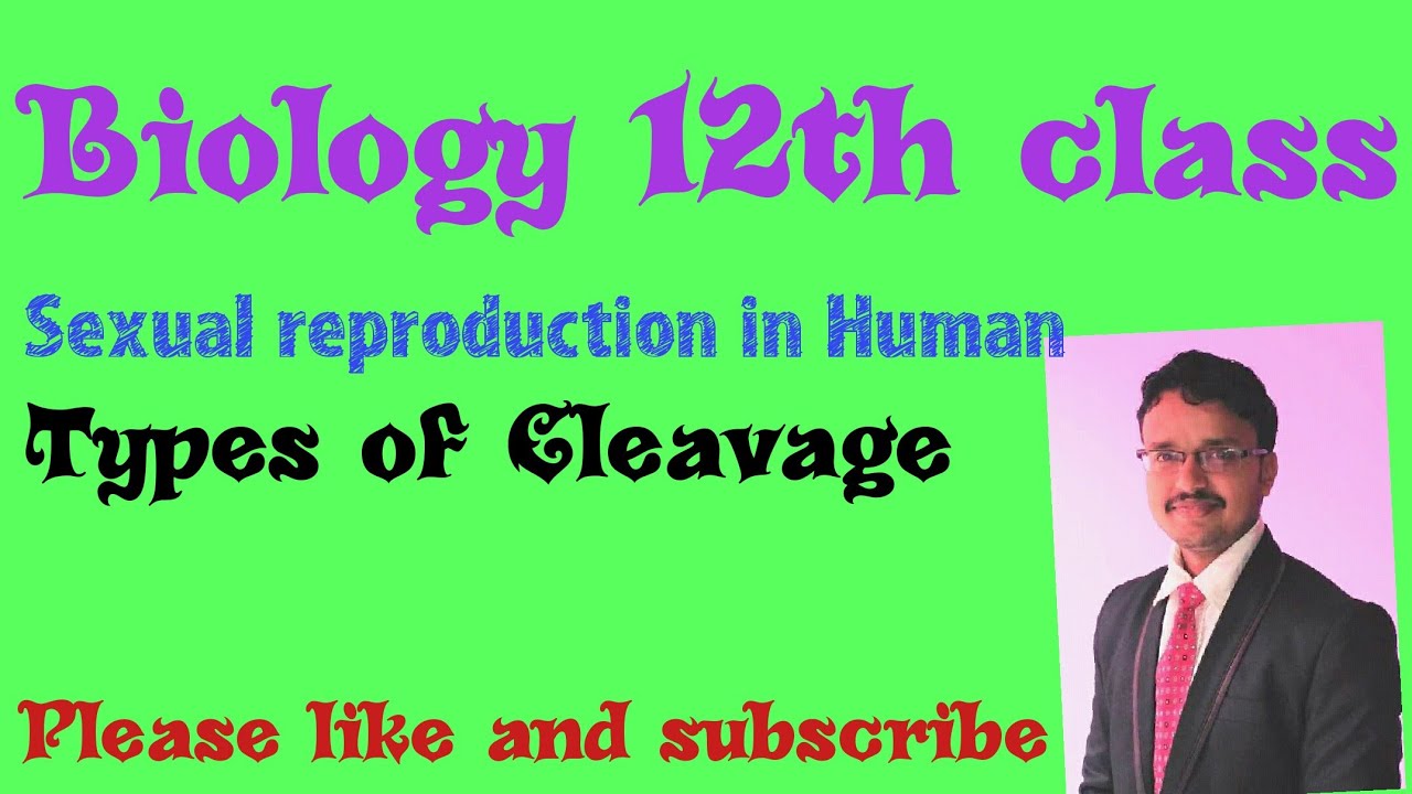 Types of Cleavage - YouTube