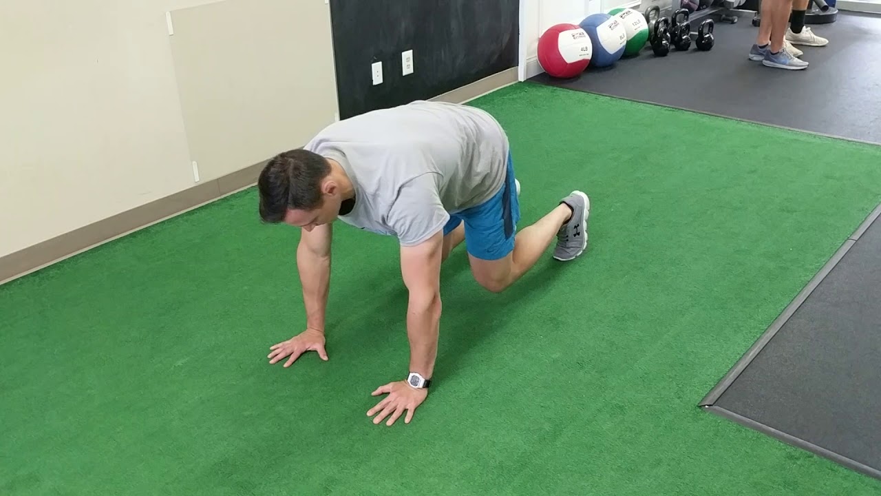 Bear Position Shoulder Taps - YouTube