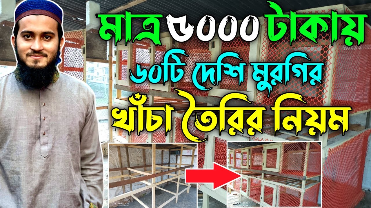 ৬০টি দেশি মুরগির খাঁচা তৈরীর নিয়ম🔥| মুরগির ঘর তৈরির নিয়ম | দেশি মুরগি ...