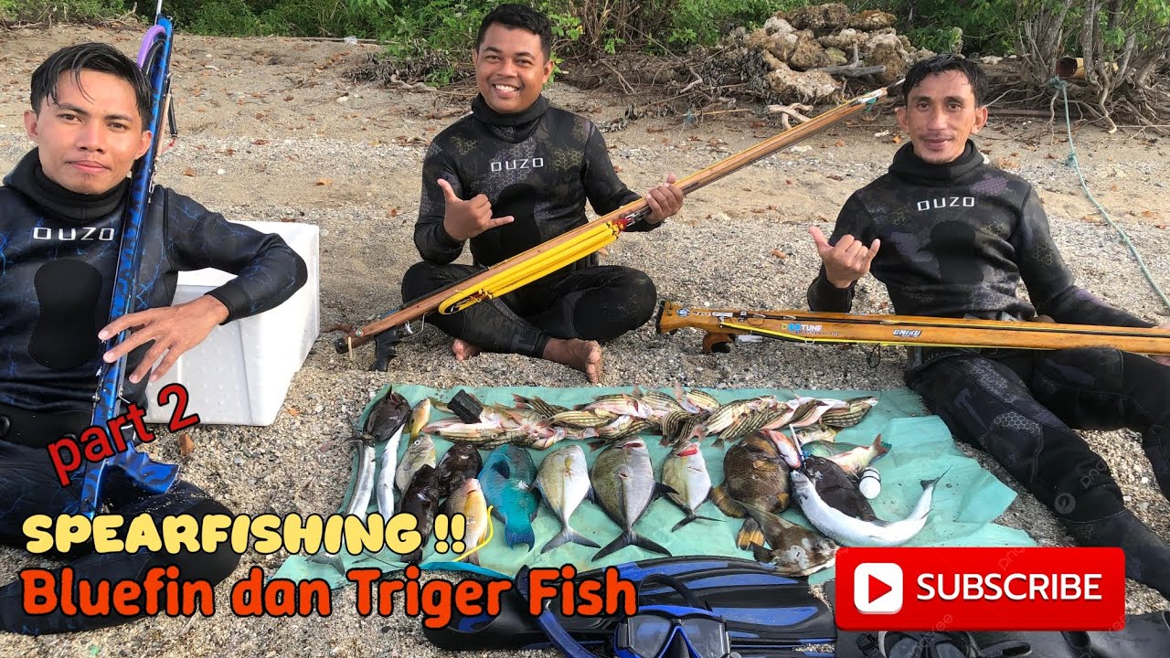 PANAH IKAN ️Spearfishing karang Tebing🔥🔥 Panen ikan 😁 - YouTube
