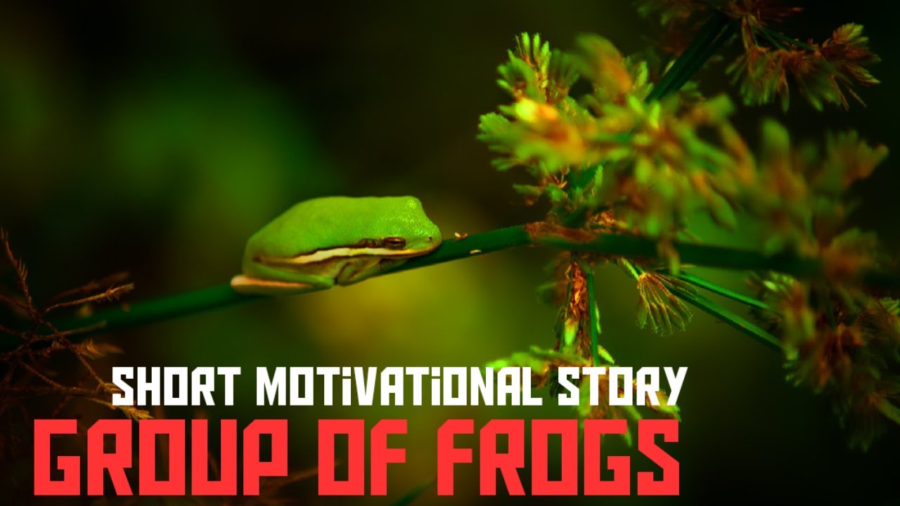 Group of Frogs | Short Motivational Story | Short Story #163 | English ...