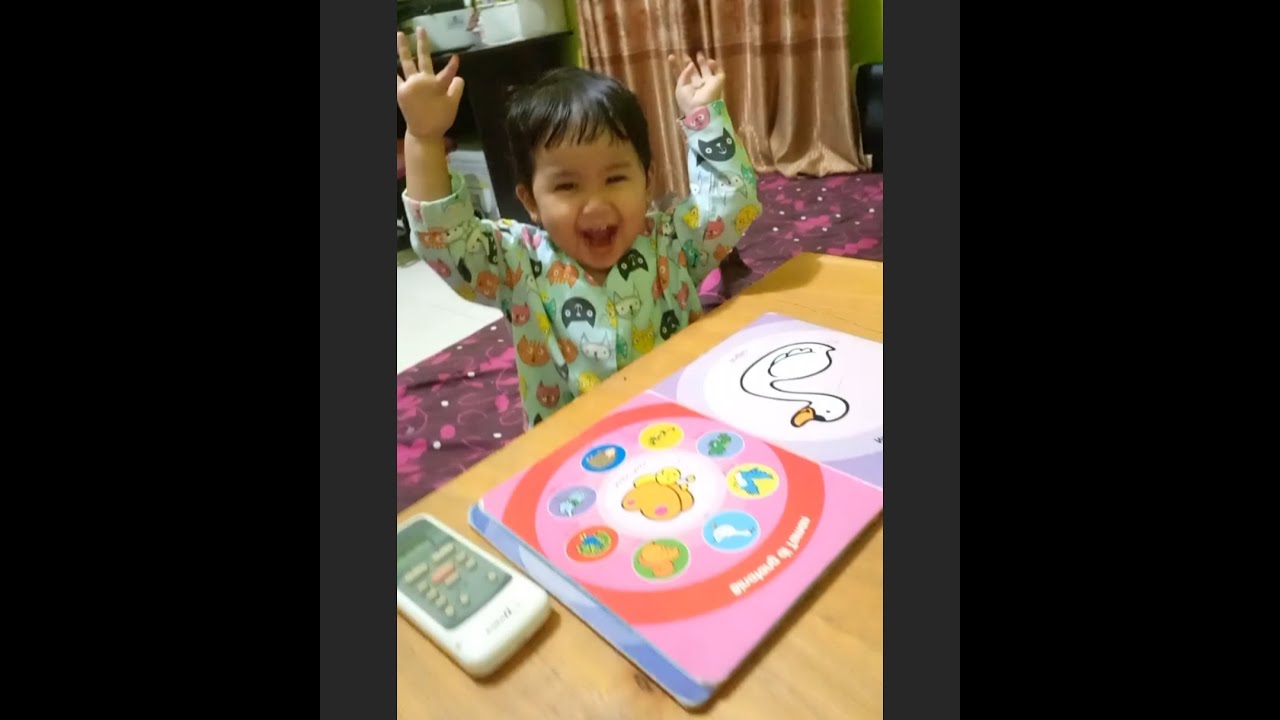 BELAJAR MENGENAL ANGKA DAN HURUF ABC . BERHITUNG - YouTube