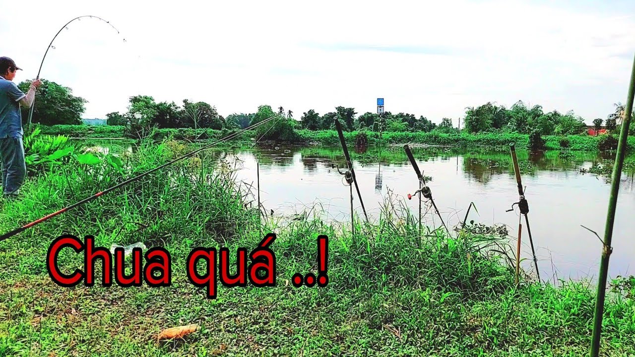 Lần Đầu Trãi Nghiệm Câu Cá Tra Sông Kênh Xáng Rạch Tra / river fishing ...