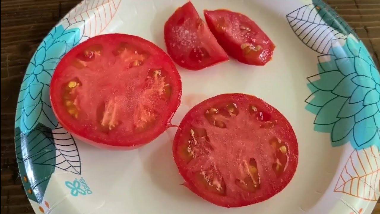 2021 Tomato Trial Review. Which Varieties are coming back next year ...