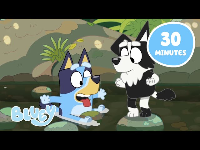 Creepy Crawlies with Bluey 🕷️🪲 | Bluey - Videos For Kids
