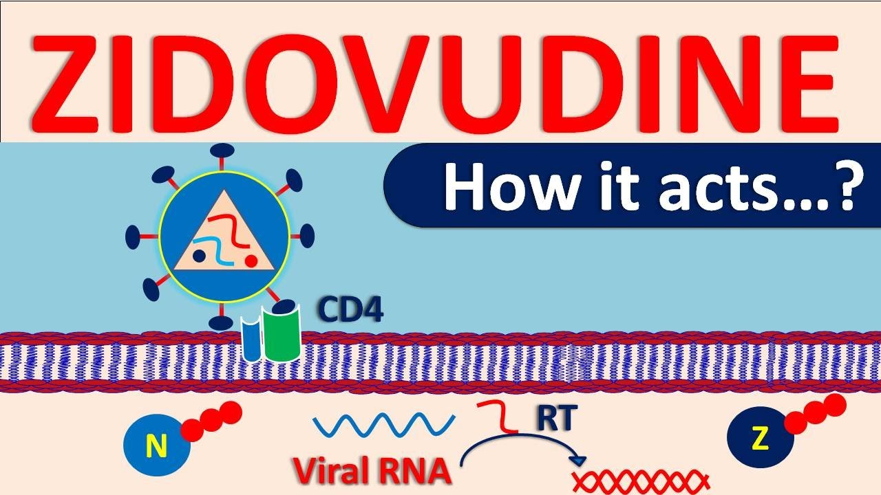Zidovudine || An antiretroviral agent - YouTube