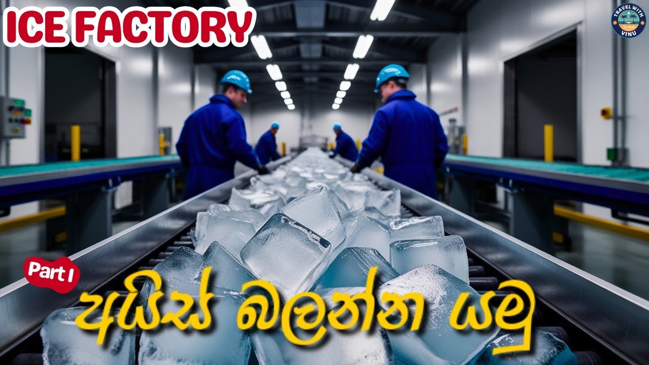 අයිස් බලන්න යමු 🍦 🥰| Ice Factory | #travelwithvinu #ice #viralvideo ...