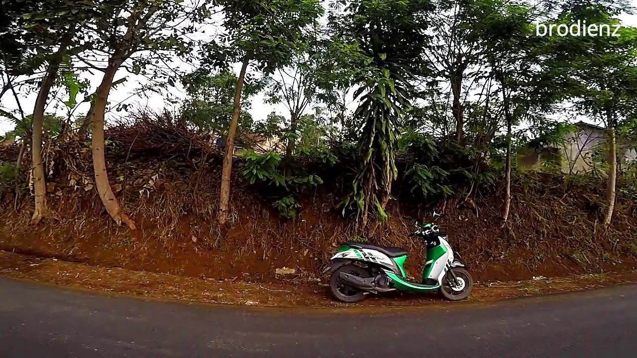 DESA CILEMBU INTI DARI INTI ASAL UBI CILEMBU ASLI 90% UBI CILEMBU ...