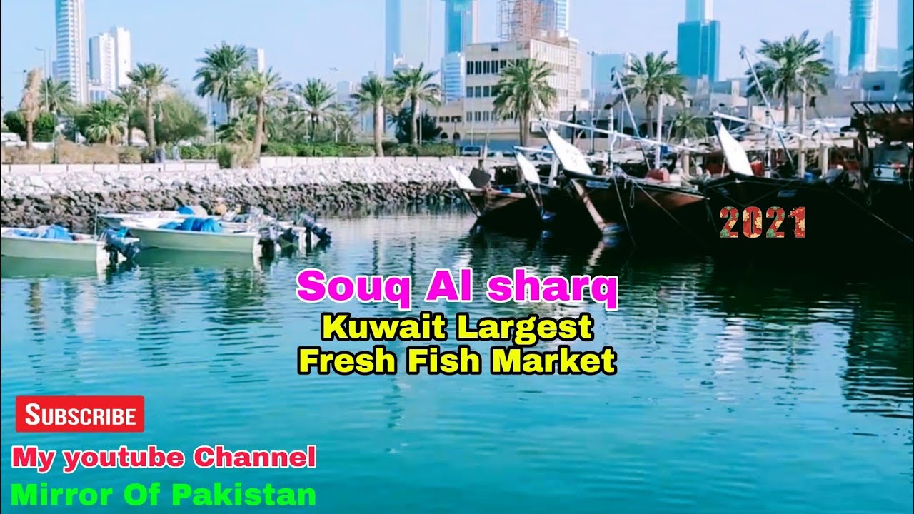 Fish market sharq kuwait 🇰🇼 | souk al sharq | largest fresh fish market ...