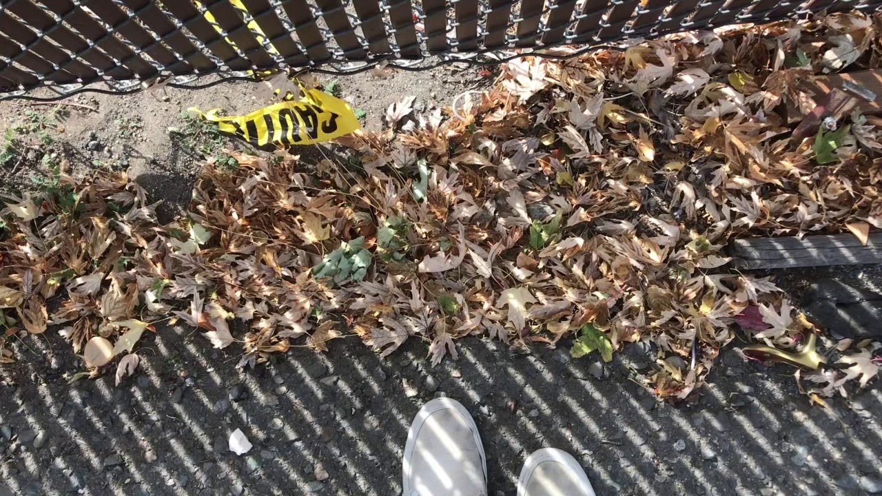 Caden Kuykendall Foley 5x5 NO audio - YouTube