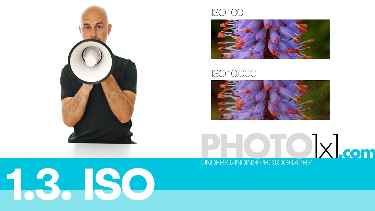 1.3. ISO explained - learn about ISO in less than 3 minutes - photo 1x1 ...
