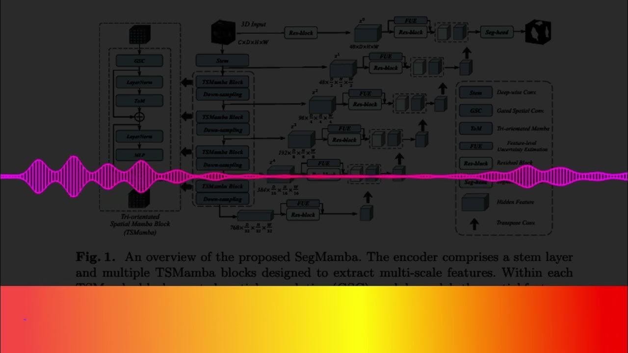 SegMamba: Long range Sequential Modeling Mamba For 3D Medical Image Segmentation - YouTube