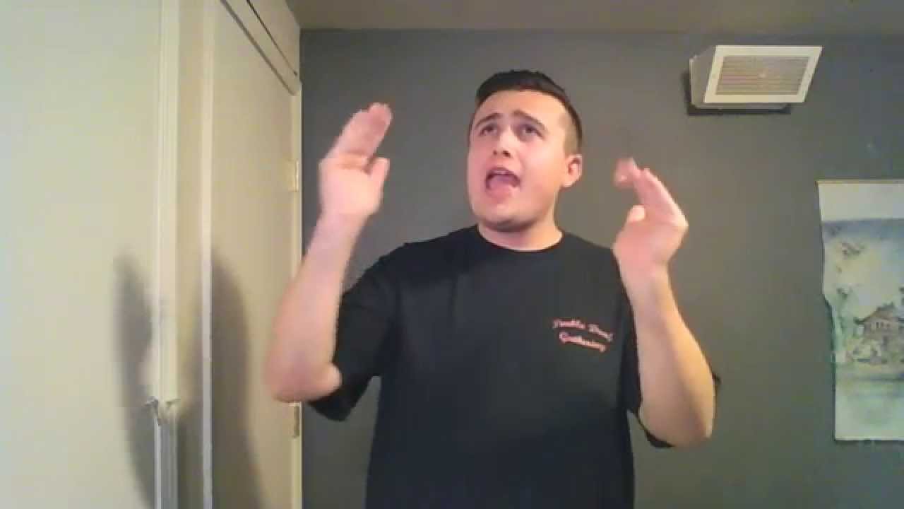 "Dancing In the Sky" By Dani And Lizzy ASL/PSE Interpretation for Brett ...