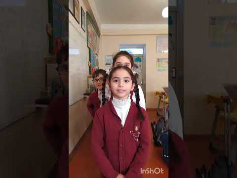 Təsdiq və inkar feillər.2-ci sinif.