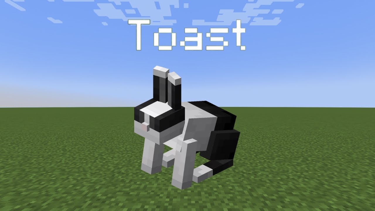 Every Name Tag Easter Egg In Minecraft - YouTube