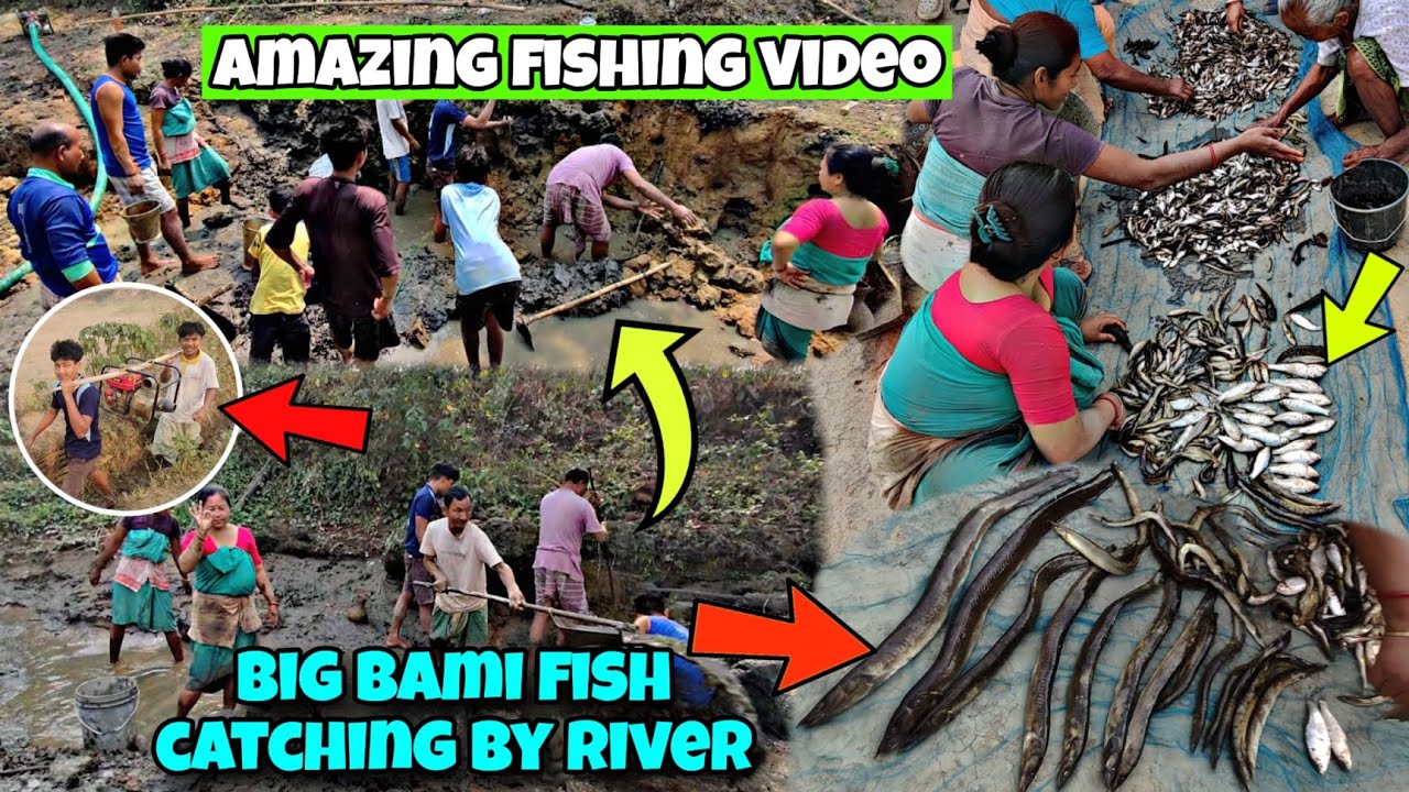 Big Bami Fish Catching By River 😱 Amazing Fishing Video 😋 Bada Bada ...