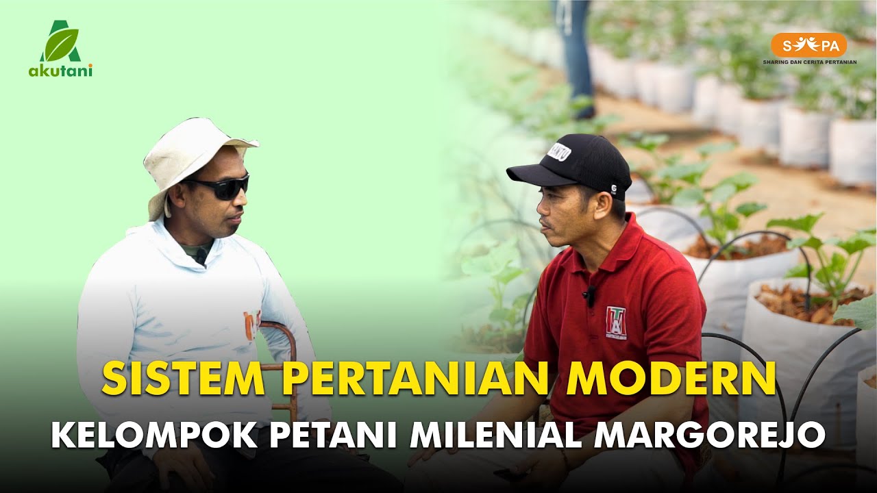 SISTEM PERTANIAN MODERN KELOMPOK PETANI MILENIAL MARGOREJO -SAPA#7 # ...