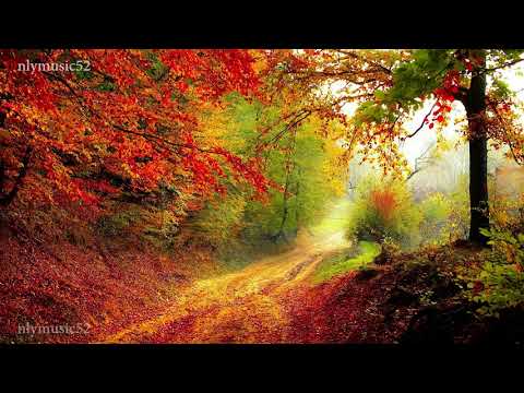 NEW 8 HORAS MUSICA ENYA DORMIR,RELAX,REDUCIR ESTRÉS/8 HOURS MUSIC SLEEP,RELAX,REDUCE STRESS (VOL.2)