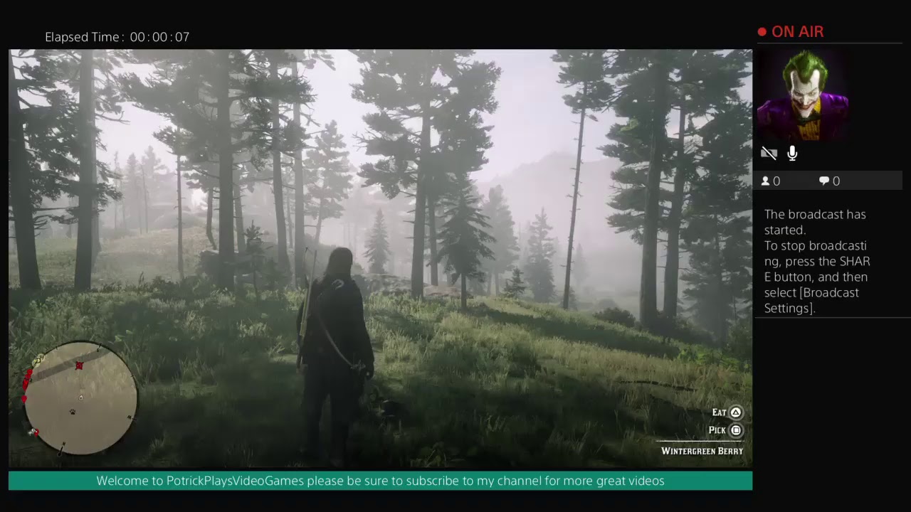 Wintergreen Berry Location #2 Red Dead Redemption 2 POTRICKPLAYS - YouTube
