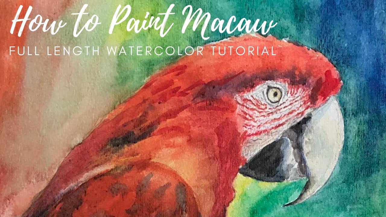 Painting a realistic macaw bird | How to draw a scarlet macaw | how to ...