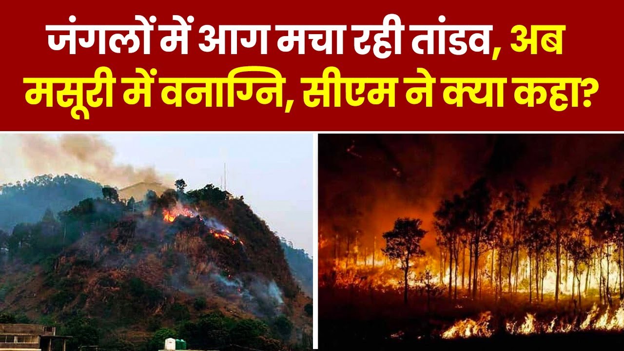 Nainital Forest Fire: Uttarakhand के जंगलों में आग का तांडव, मसूरी में ...