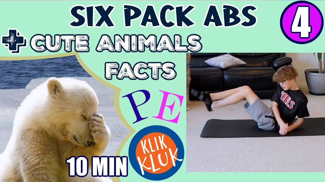 Six Pack ABS + Animal Facts / Simple Exercises At Home - YouTube