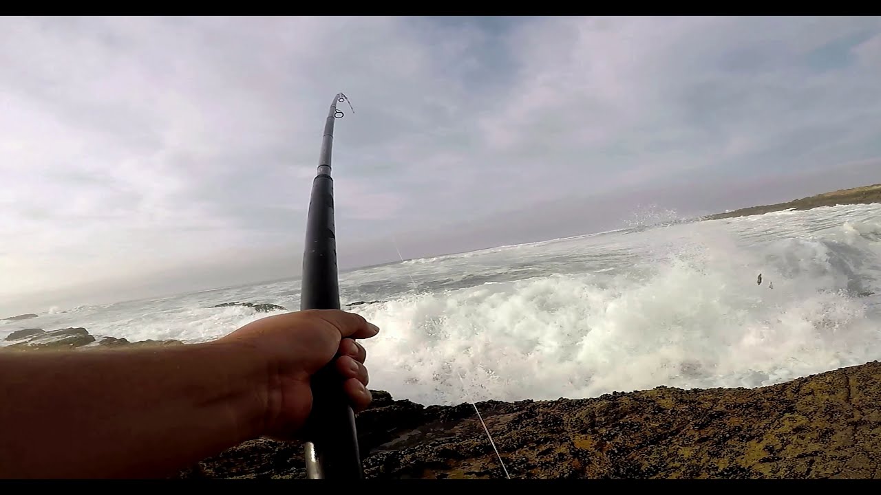 Elf/Tailor/Shad Catch and Cook Part one: Catch - YouTube