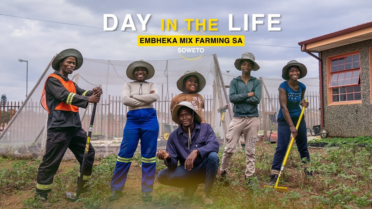Day In The Life Episode 4 | Embheka mix farming - YouTube
