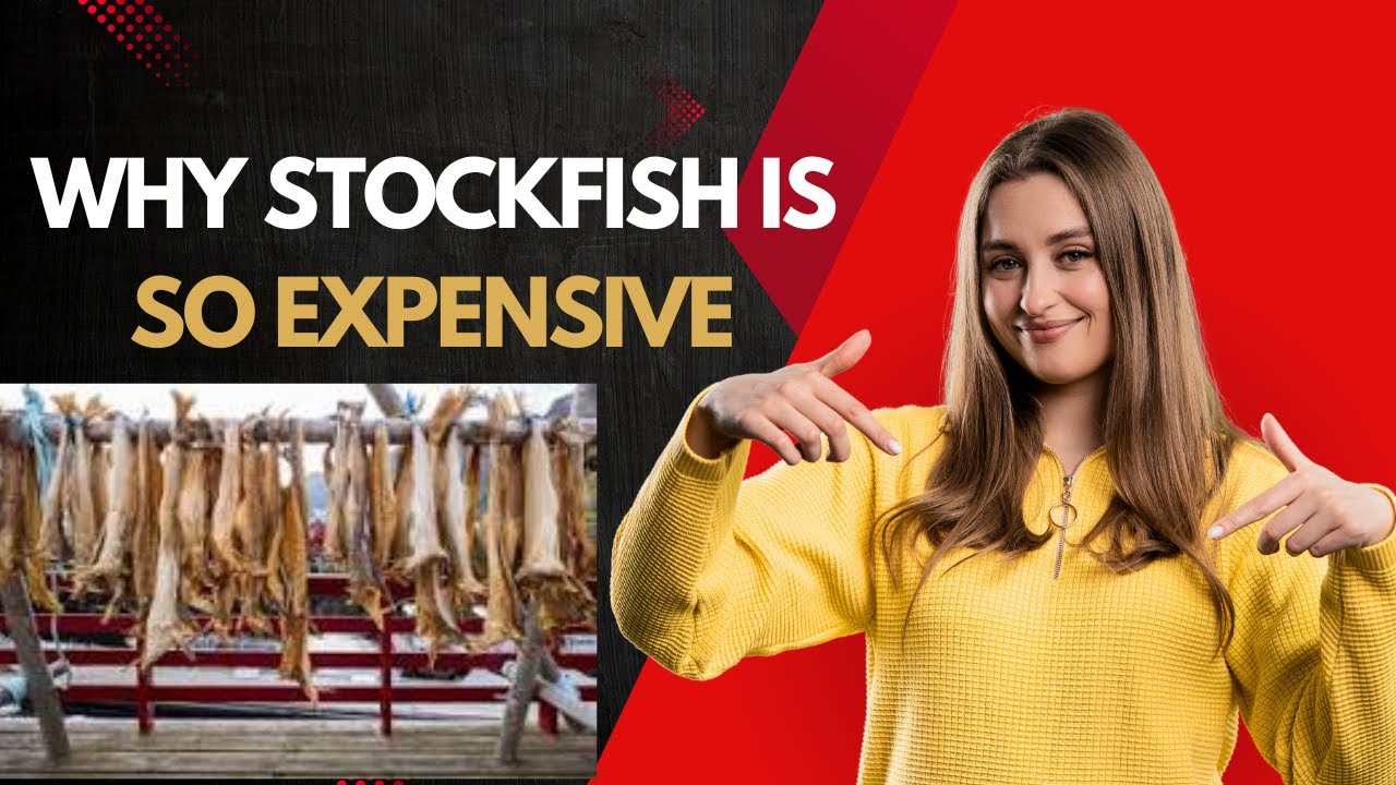 Why Stockfish Is So Expensive - YouTube