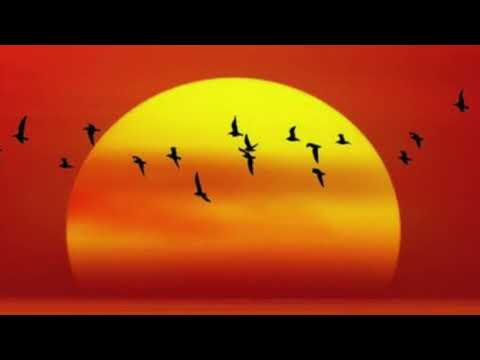 EY ŞEHİD! MARŞLAR..Abdülbaki Kömür.İLK CEMRE