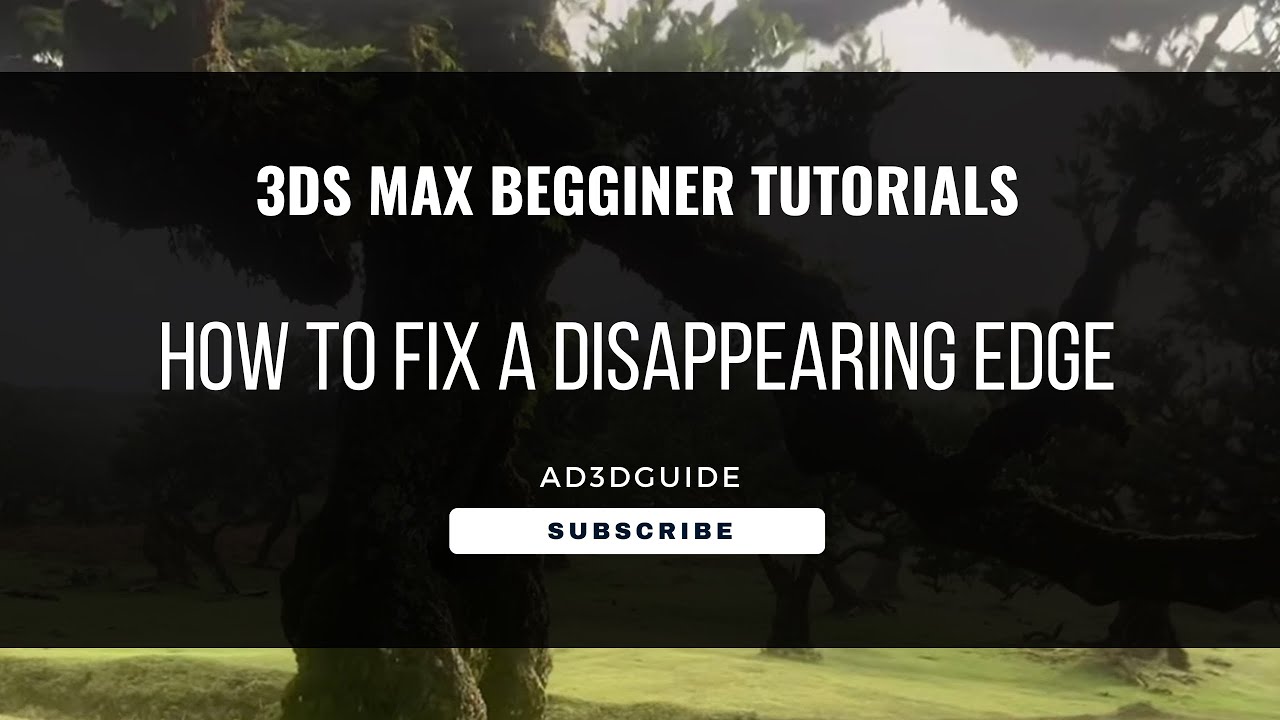 Basic 3ds Max tutorial - How to fix a disappearing edge. The edges of a ...