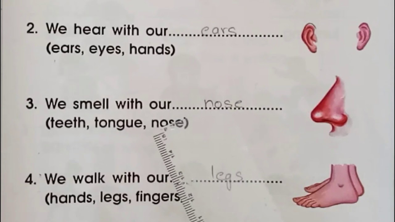 GRADE, UKG, REVISION 16, ENGLISH - Complete the sentences with the ...