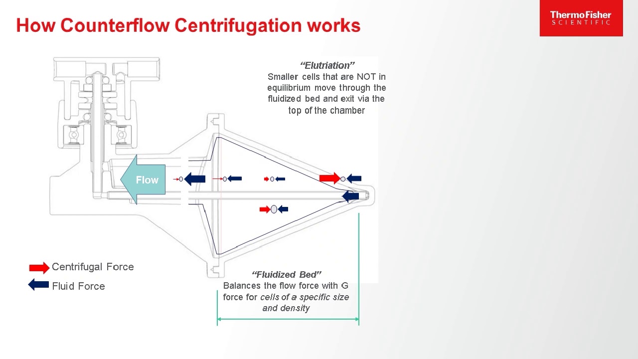 Rotea: A versatile cell therapy workflow instrument for cell isolation ...