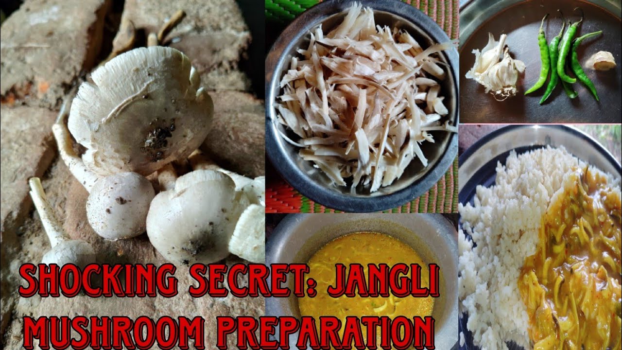 Shocking Secret: Jangli Mushroom Preparation - YouTube
