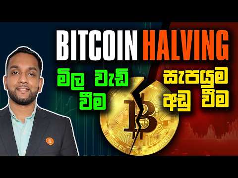 Bitcoin Halving - බිට්කොයින් කෙරෙහි බලපෑම | Explained in Sinhala - Ep 18 - Bitcoin Sri Lanka