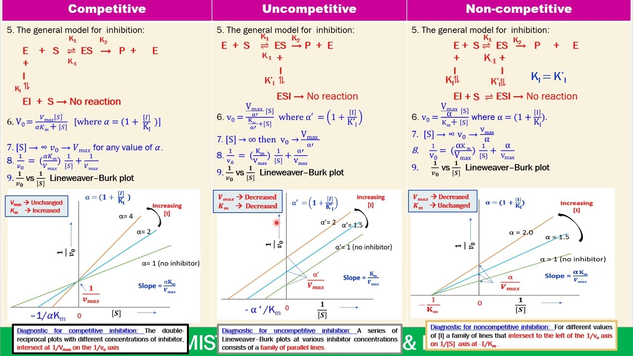 Competitive Vs Uncompetitive Vs Non-competitive Reversible Enzyme ...