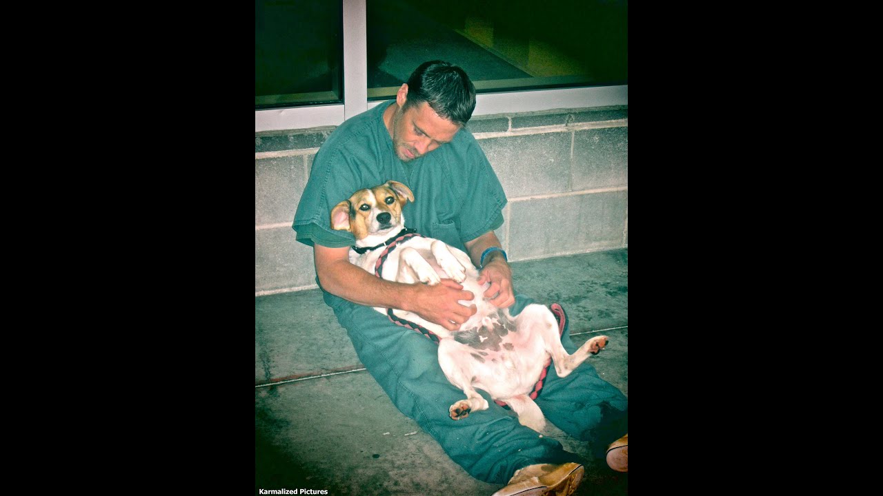 Chico will always make you smile. Nothing but love from Chico. - YouTube