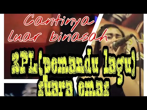 3pl(pemandu lagu) swaranya emas/merdu #sukabernyanyi