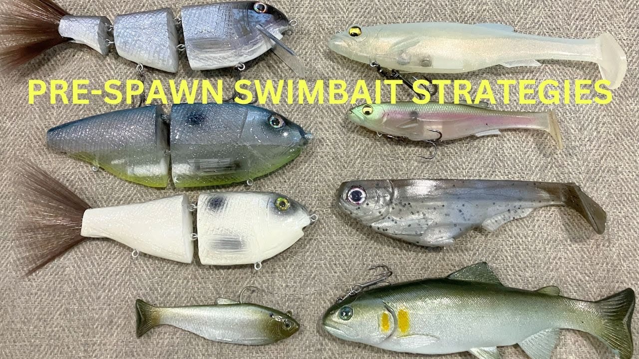 Swimbait Strategies For Pre Spawn Bass Top Baits And Target Locations Youtube