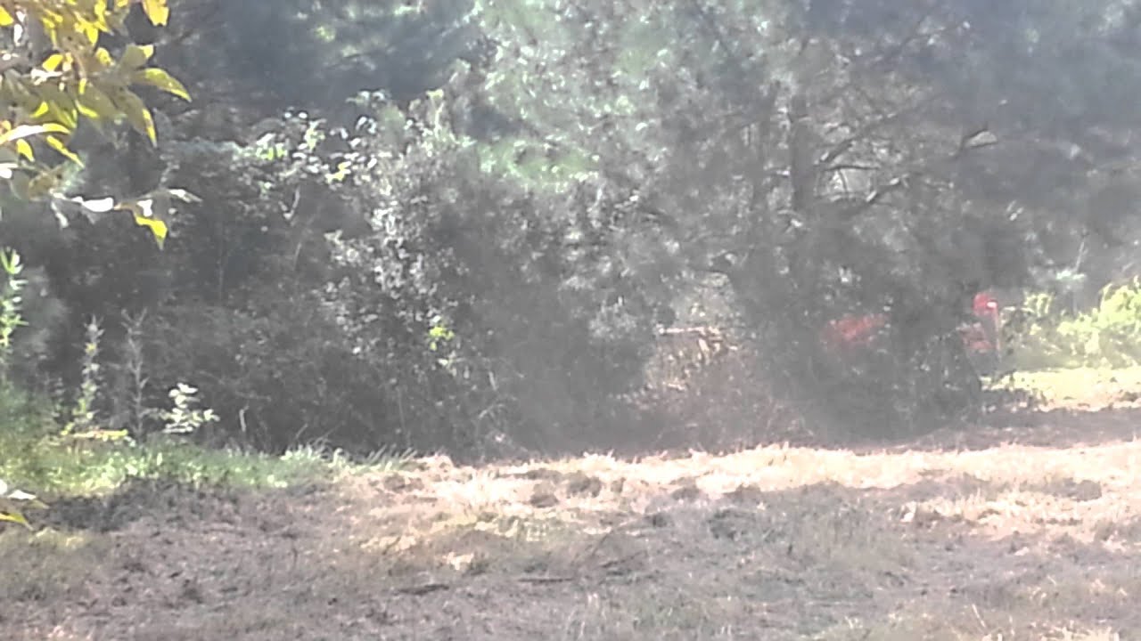 Clearing an overgrown pasture in West Alabama. - YouTube