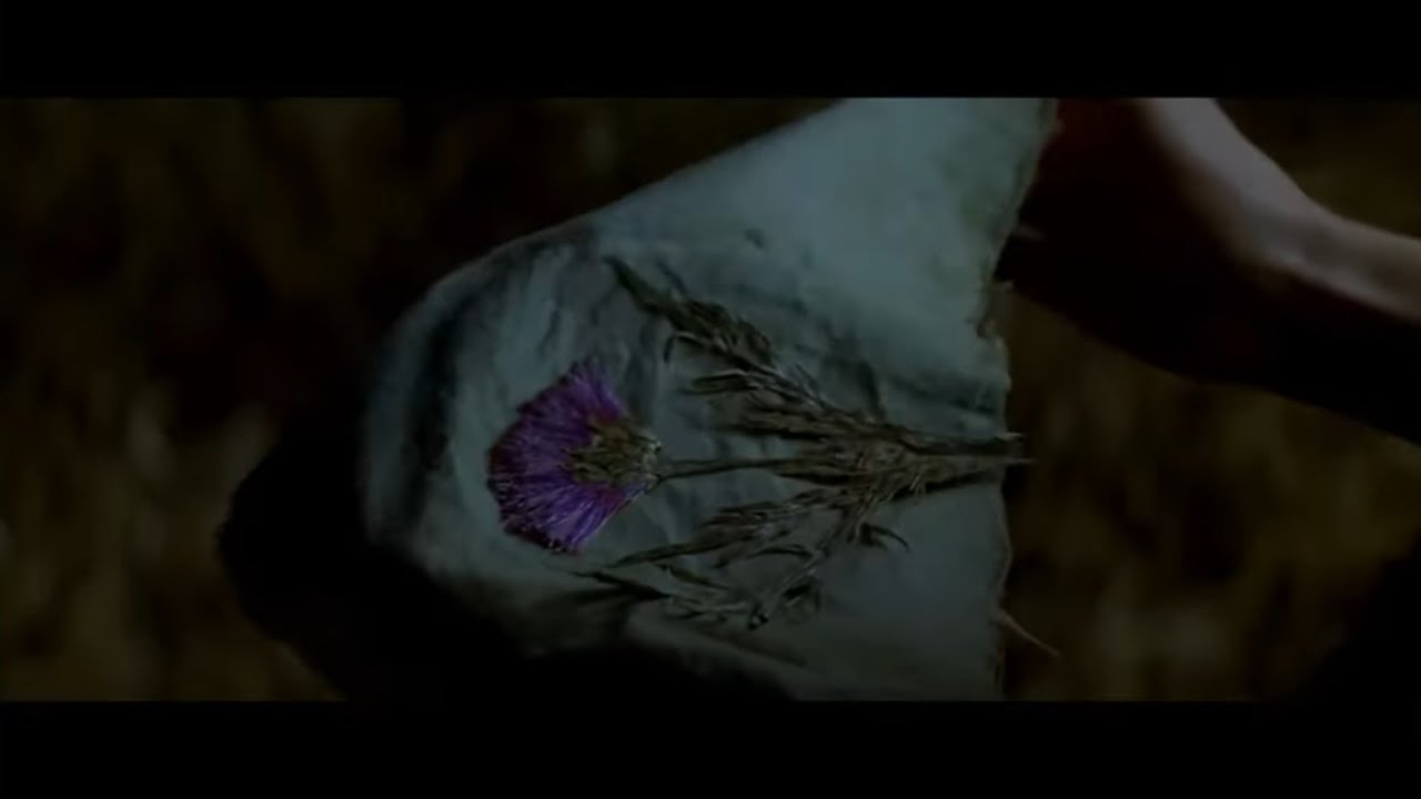 A Gift of a Thistle. (BraveHeart). Piano Arrangement. - YouTube