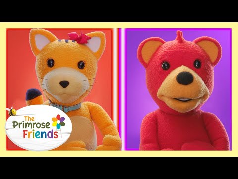 Alike & Different 🌈The Primrose Friends | Songs & Nursery Rhymes 🎶Kids Songs About Being Unique
