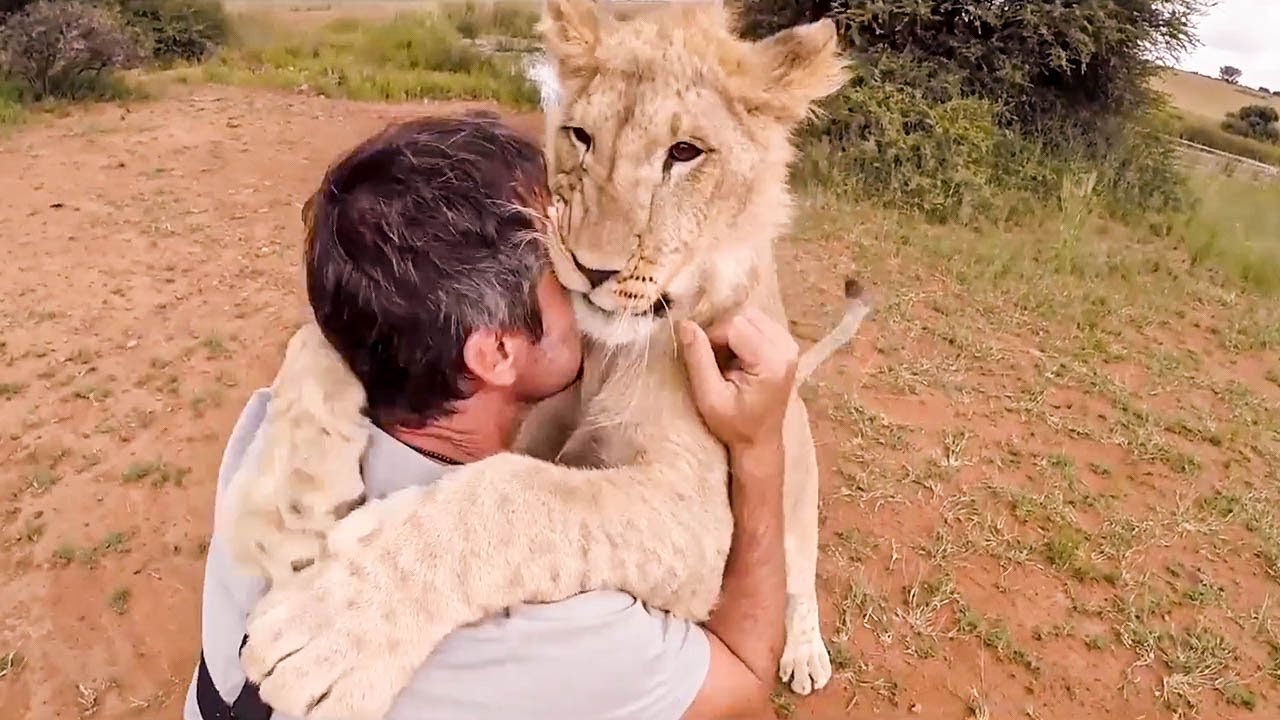 Part 3: Hopes & Fears | The Lion Whisperer - YouTube